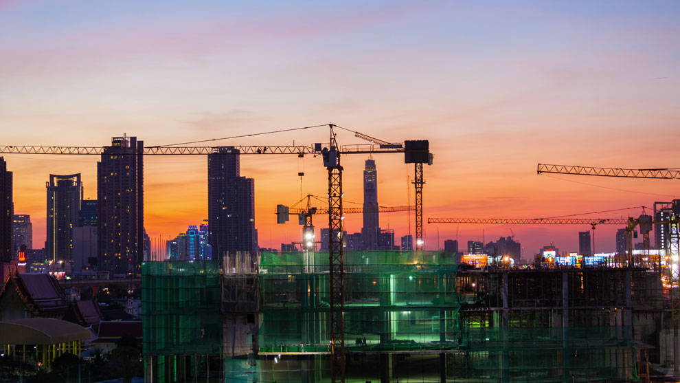 مجموعه فوتیج ویدیویی پرواز پرنده و زنبور Birds & Bees VFX • مخزن ودره